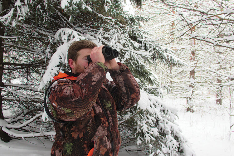 Bird counts go beyond Christmas | News, Sports, Jobs - Marshall Independent